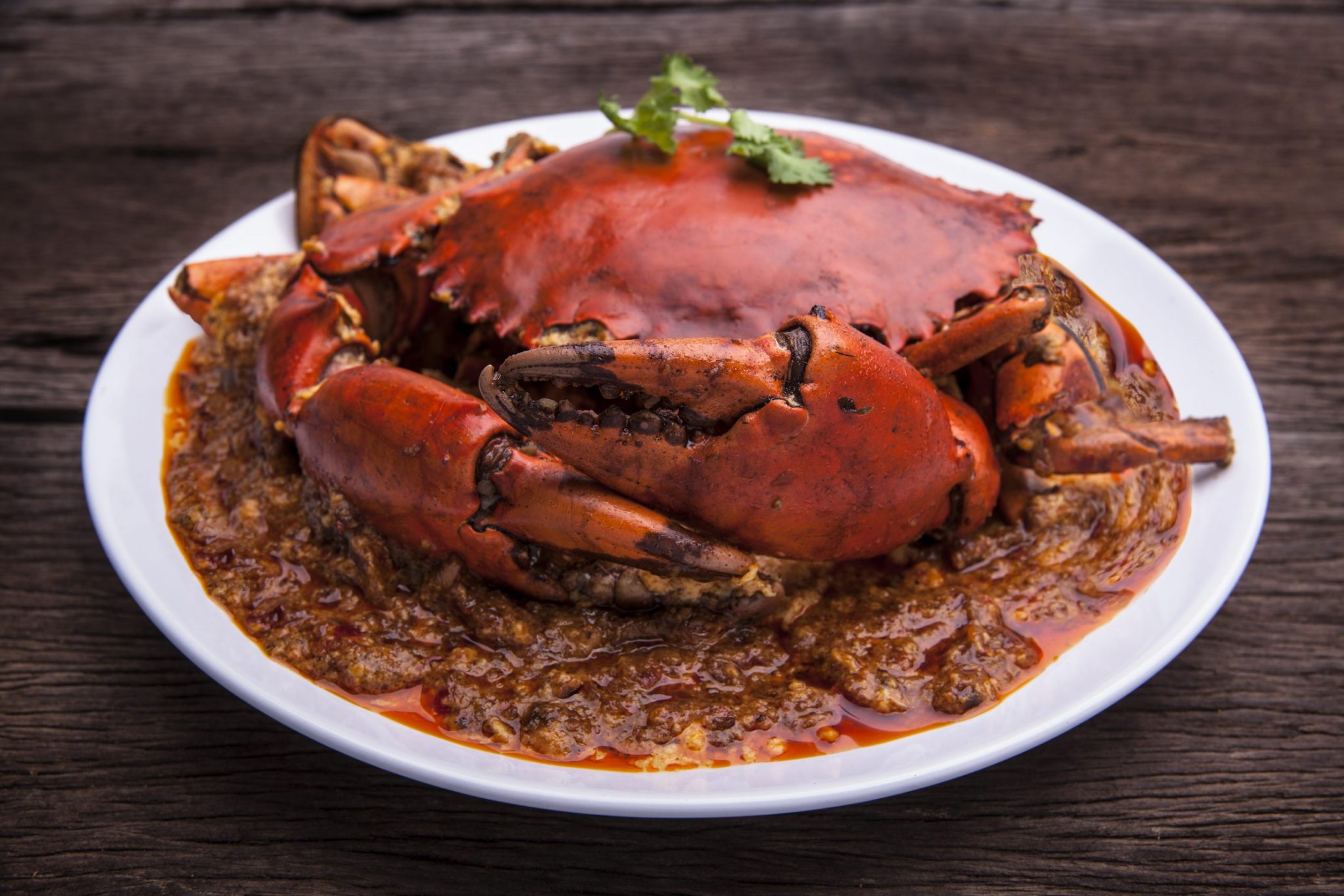 Award-Winning Chilli Crab - Crab Delivery Singapore | 8 Crabs Crab Delivery