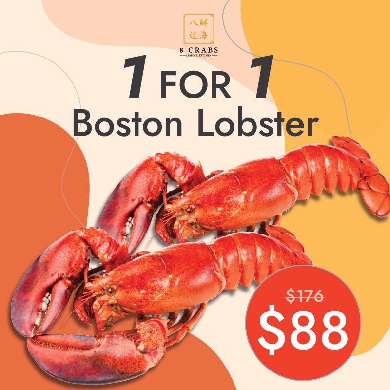1-for-1 Boston Lobster - Crab Delivery Singapore | 8 Crabs Crab Delivery